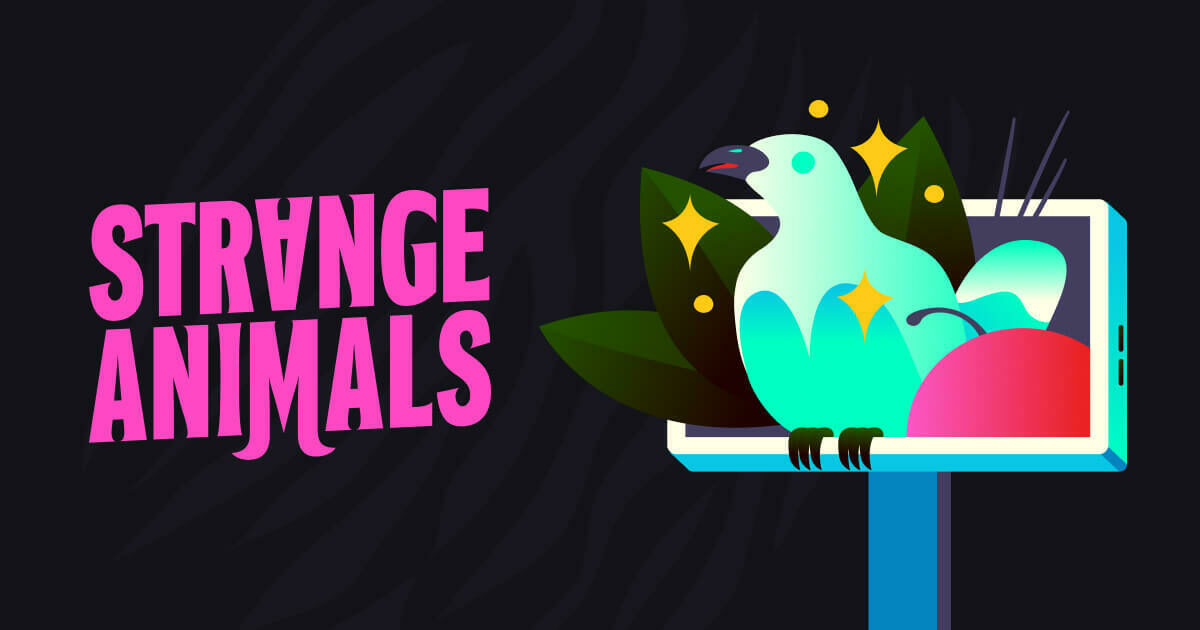 Strange Animals | Perth digital design and website development agency